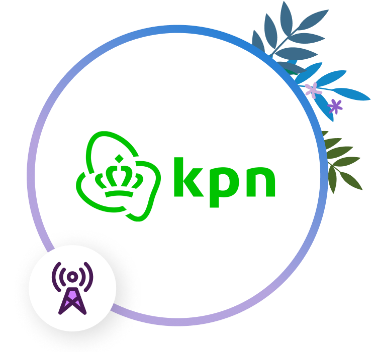 Telecom Order Management & Orchestration System | Salesforce US